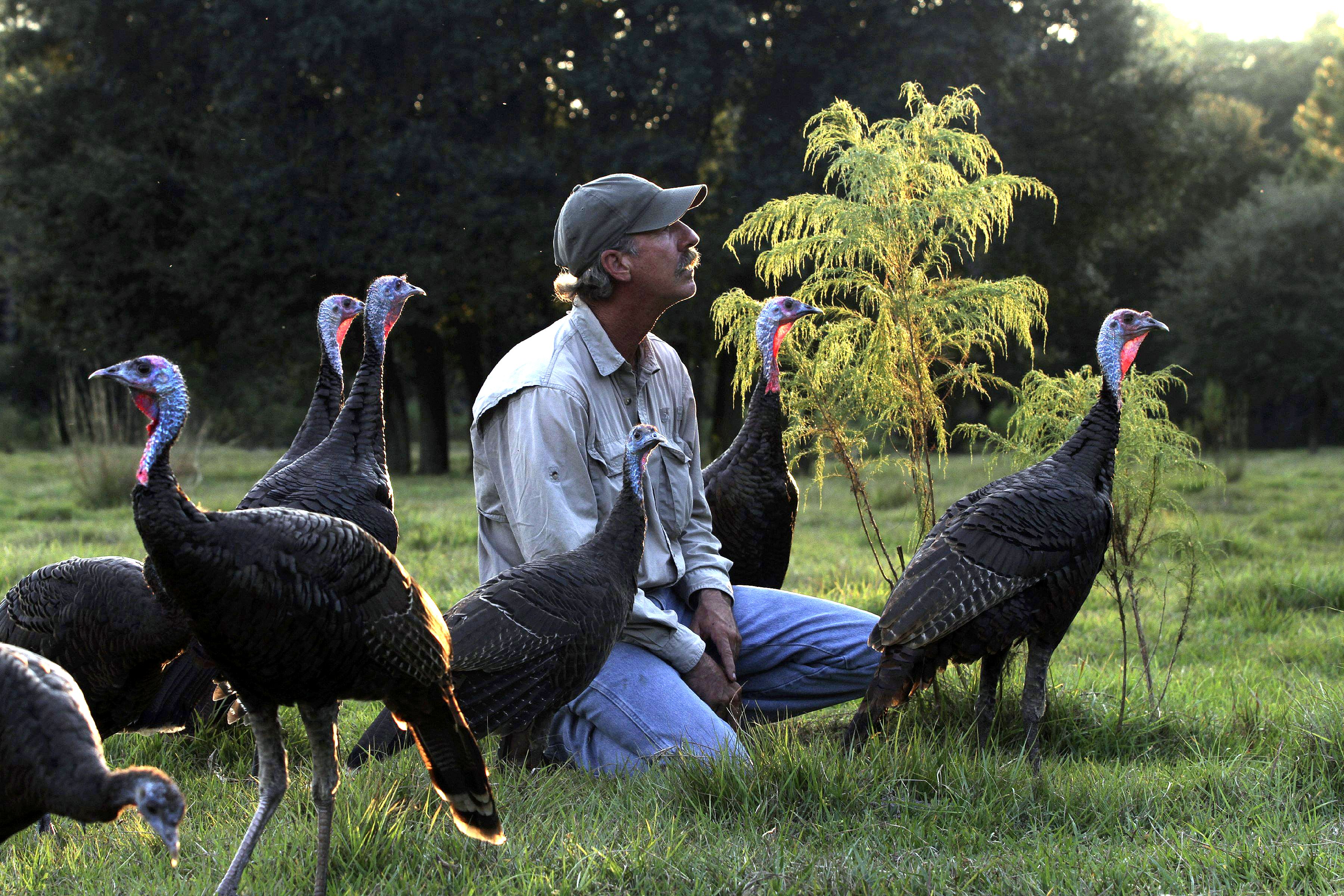 Home [riledupjournal.com]