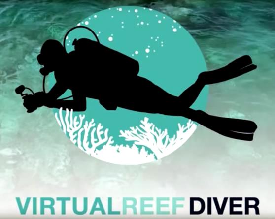 Home [riledupjournal.com]