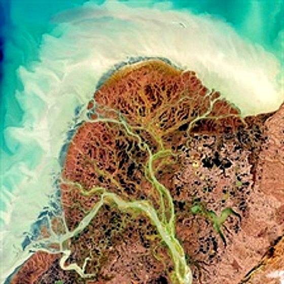 Home [riledupjournal.com]