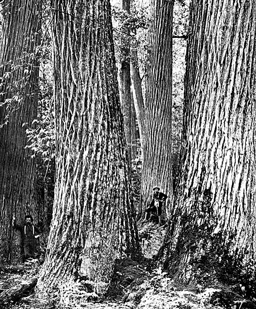 Home [riledupjournal.com]