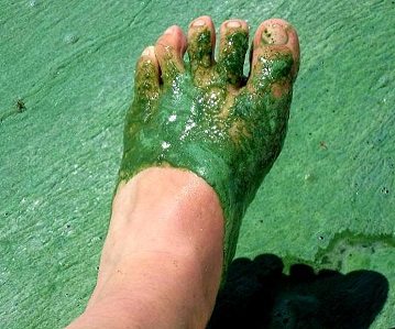 Home [riledupjournal.com]